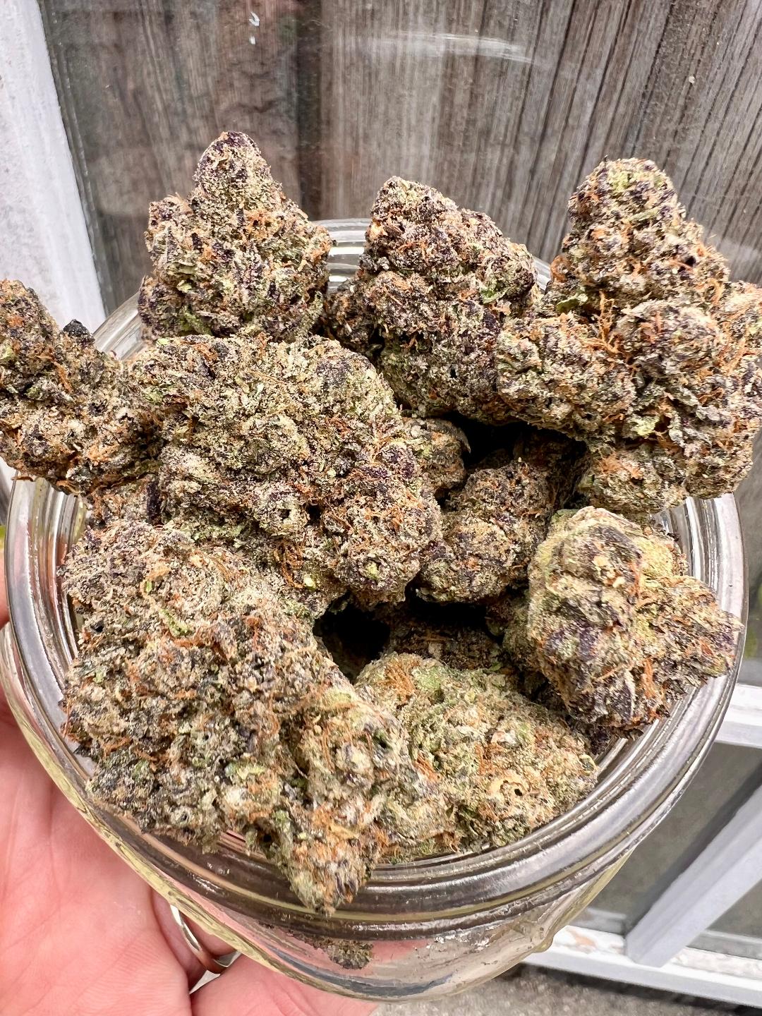 Indica Archives - Thin Air Nursery